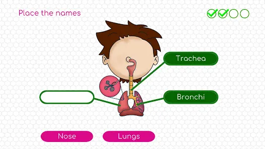 Human body adventure for kids | Free Apk Download on Your Device. Enjoy ...
