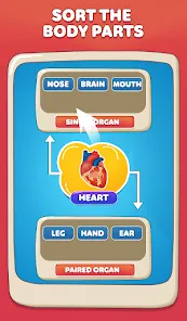 Human Body Parts Learning Game | Free Apk Download on Your Device ...