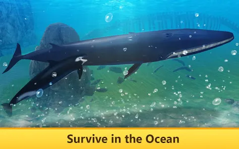 Ocean Whale Simulator Quest | Free Apk Download on Your Device. Enjoy ...