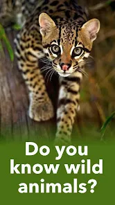 Animals for kids - Zoo Quiz Guide