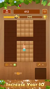 Wood Block Puzzle - Q Block | Free Apk Download on Your Device. Enjoy ...