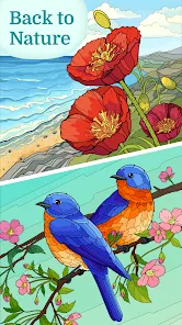 Zen Color - Color By Number Game | Free Apk Download on Your Device ...