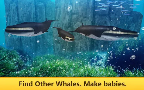 Ocean Whale Simulator Quest | Free Apk Download on Your Device. Enjoy ...