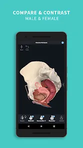 Complete Anatomy 2023 | Free Apk Download on Your Device. Enjoy your ...