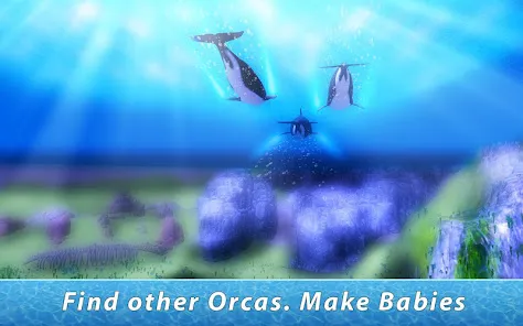 Orca Family Simulator | Free Apk Download on Your Device. Enjoy your ...