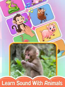 Baby Touch - Animal Sound | Free Apk Download on Your Device. Enjoy ...