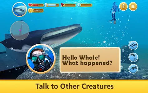 Ocean Whale Simulator Quest | Free Apk Download on Your Device. Enjoy ...