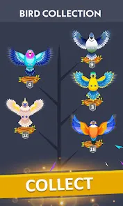 Merge master Color Bird Puzzle Game | Free Apk Download on Your Device ...