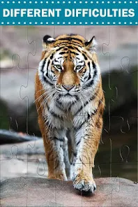 Wild Animals Jigsaw Puzzles Guide