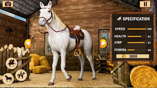 Equestrian Horse Riding | Free Apk Download on Your Device. Enjoy your ...